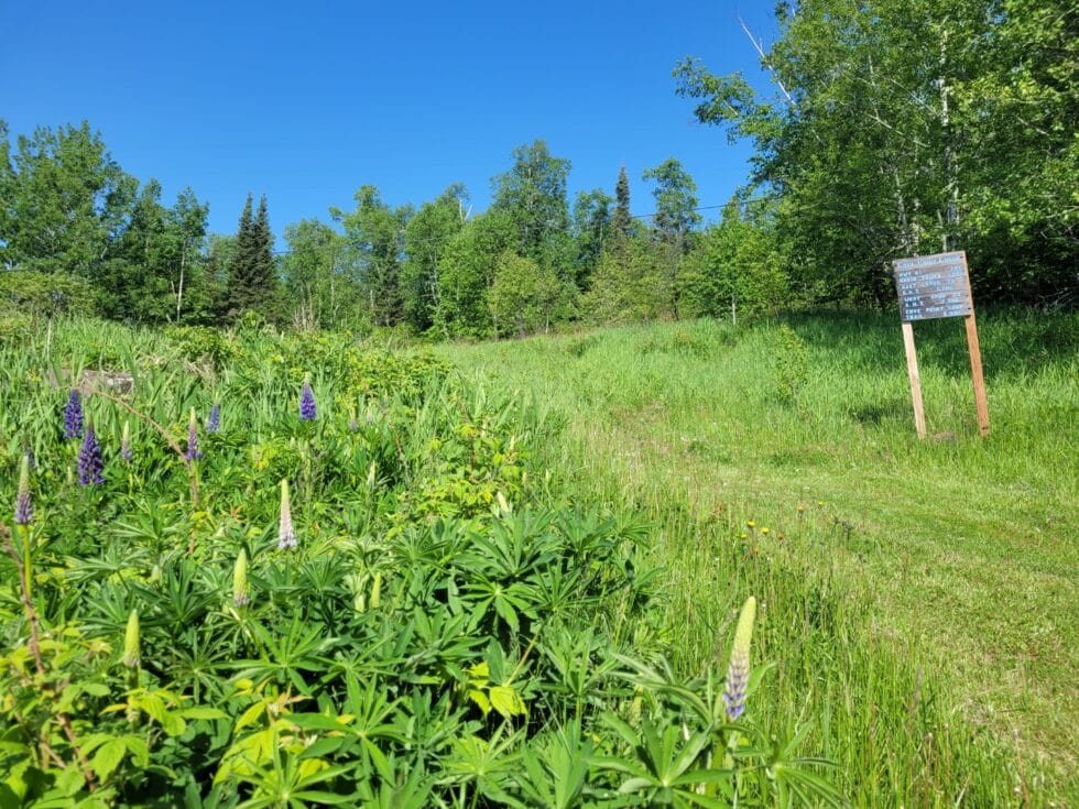 North Shore MN Summer Lodging at Cove Point Lodge