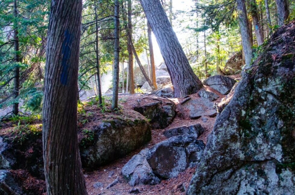 Trail Time is the Best Time | Cove Point Lodge