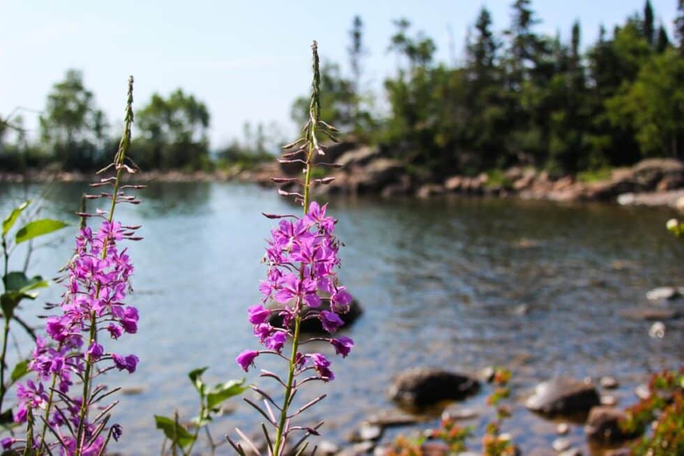 Summer on the Shore - There's Still More! | Cove Point Lodge